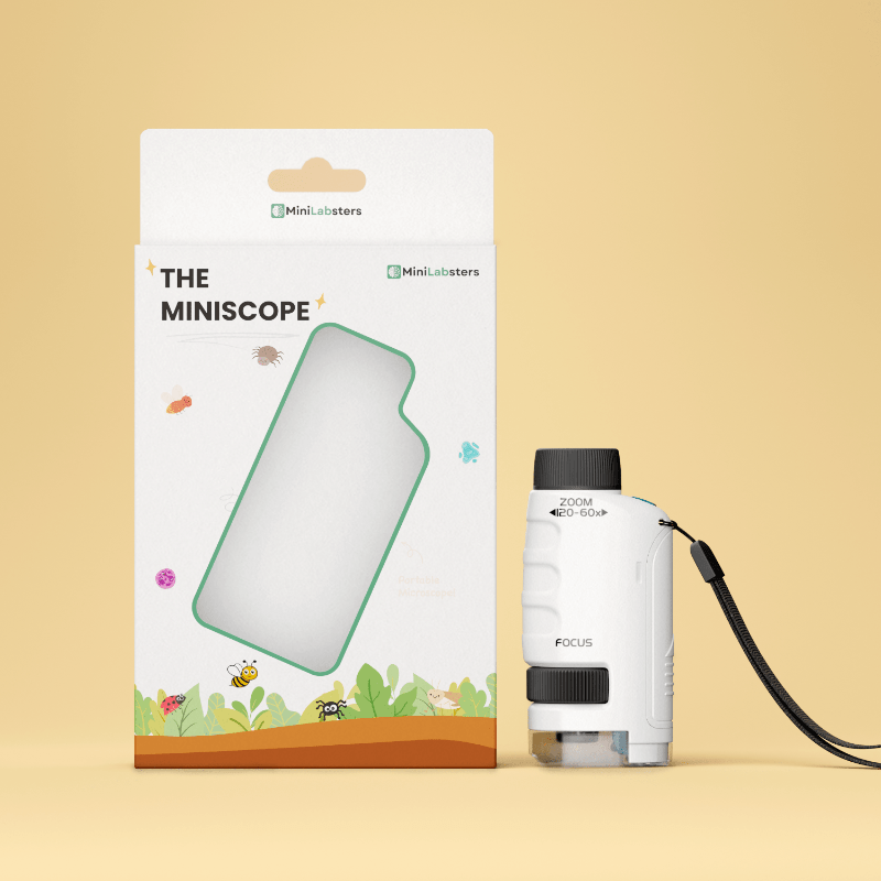 The Miniscope – Colombiaza.store